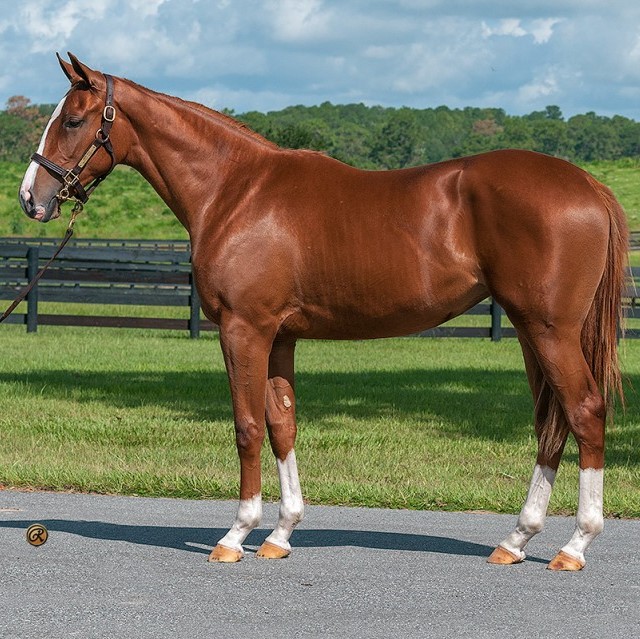 Racing Outsider – The Inside Track to Catching Outsiders…